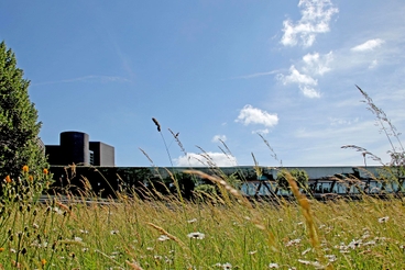 The SSI pathway - B. Braun