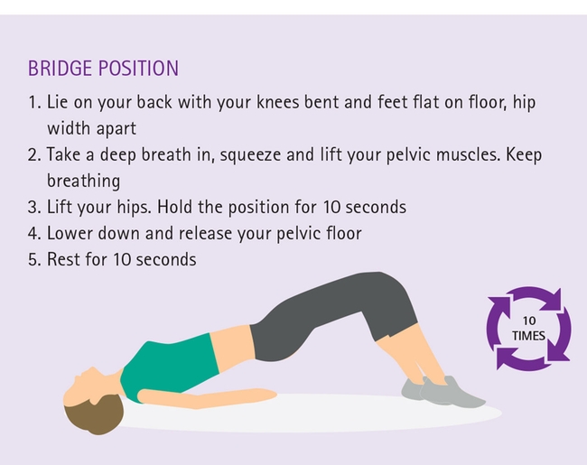 Pelvic Floor Training - B. Braun