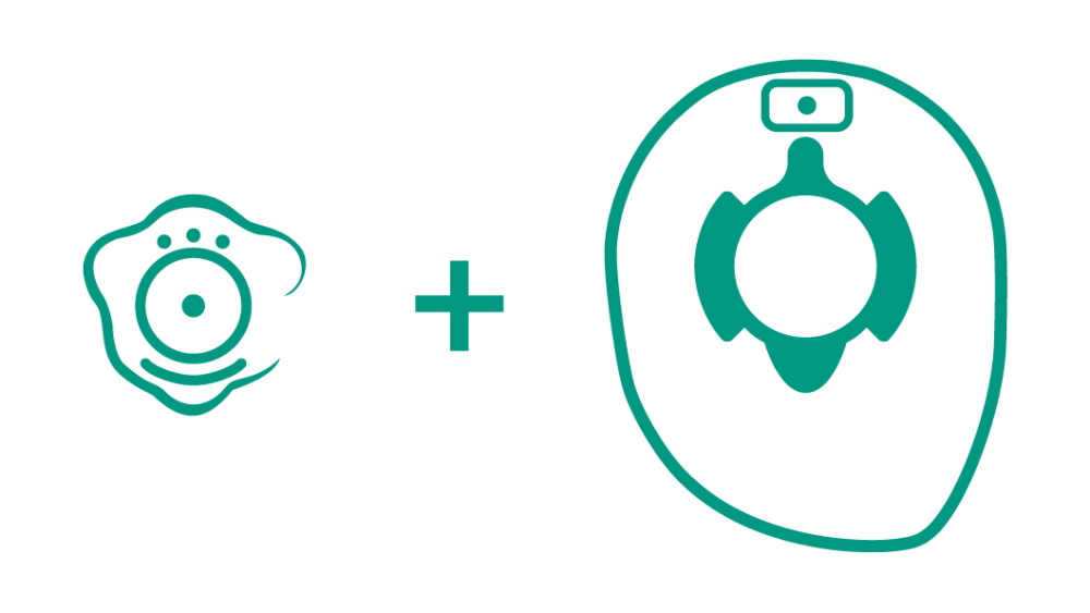 Living with Stoma After Your Stoma Surgery - B. Braun